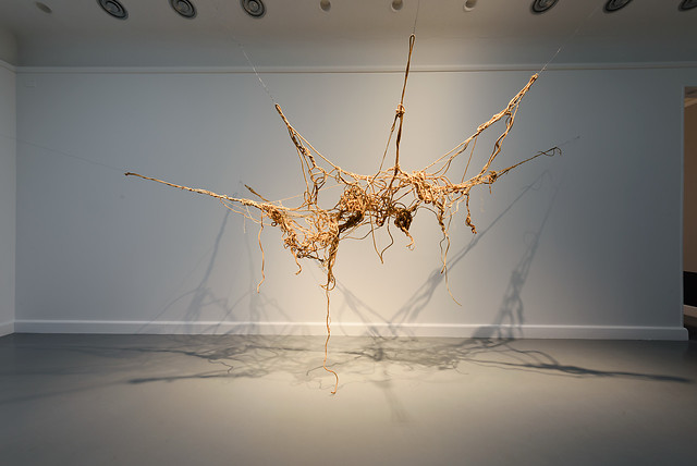 Sarah Pierce - IMMA