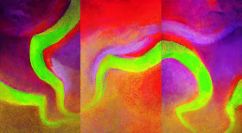 Anne Madden: A Retrospective - IMMA