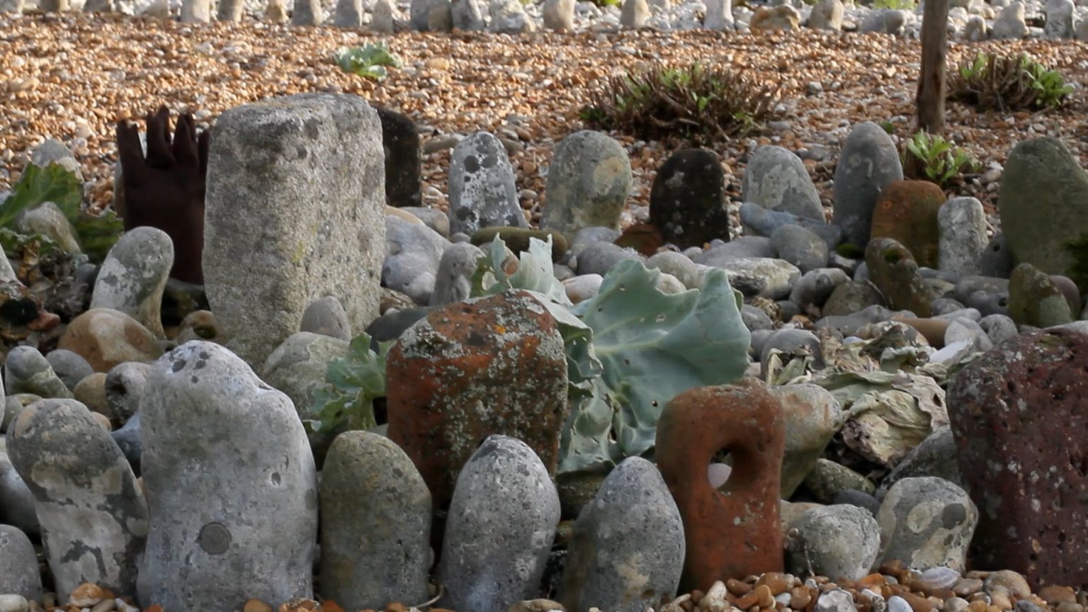 Derek Jarman’s Garden by Susan Thomson - IMMA