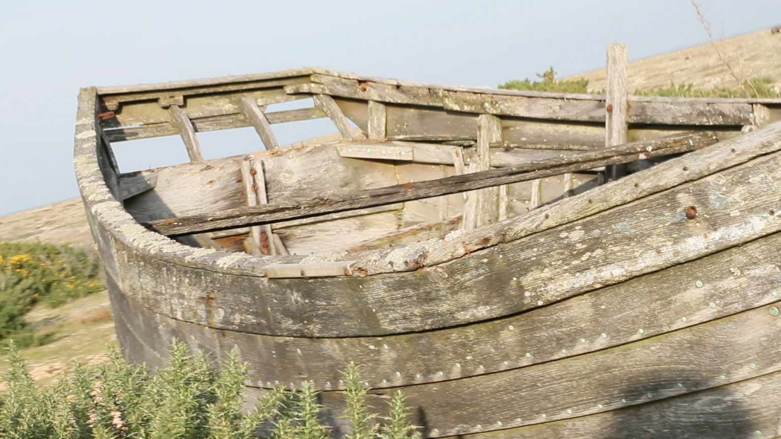 Derek Jarman’s Garden by Susan Thomson - IMMA