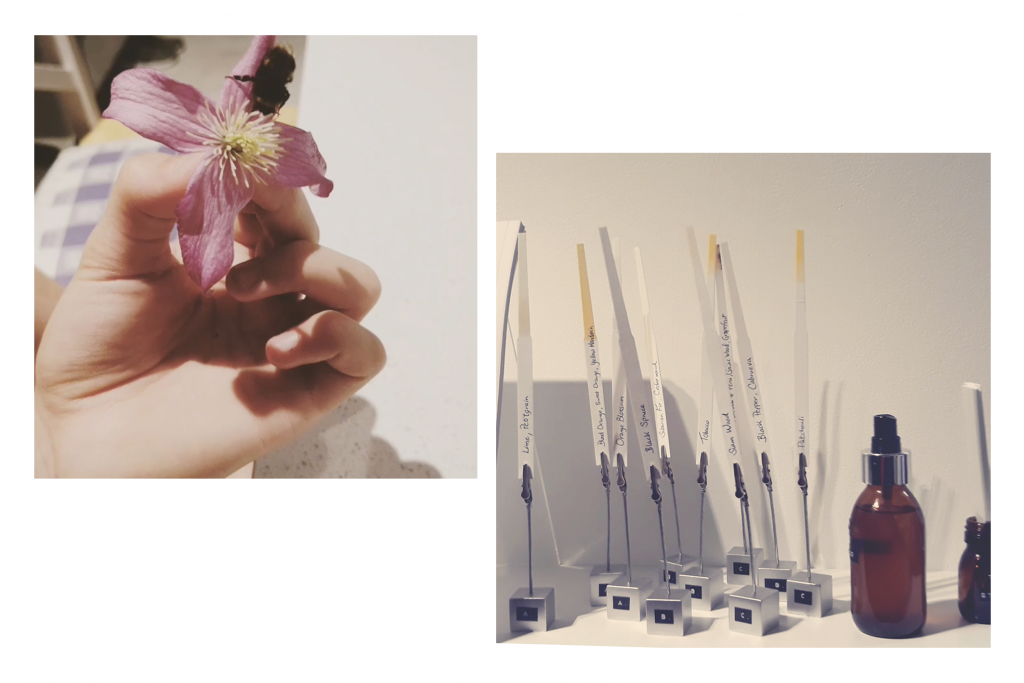 Scent Exploration Workshop - IMMA