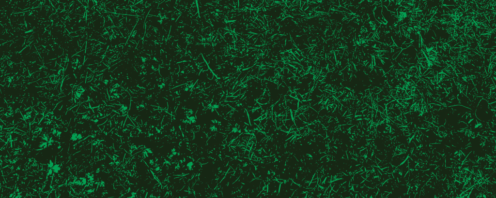 Dwell Here: One Year Residency / Apply - IMMA