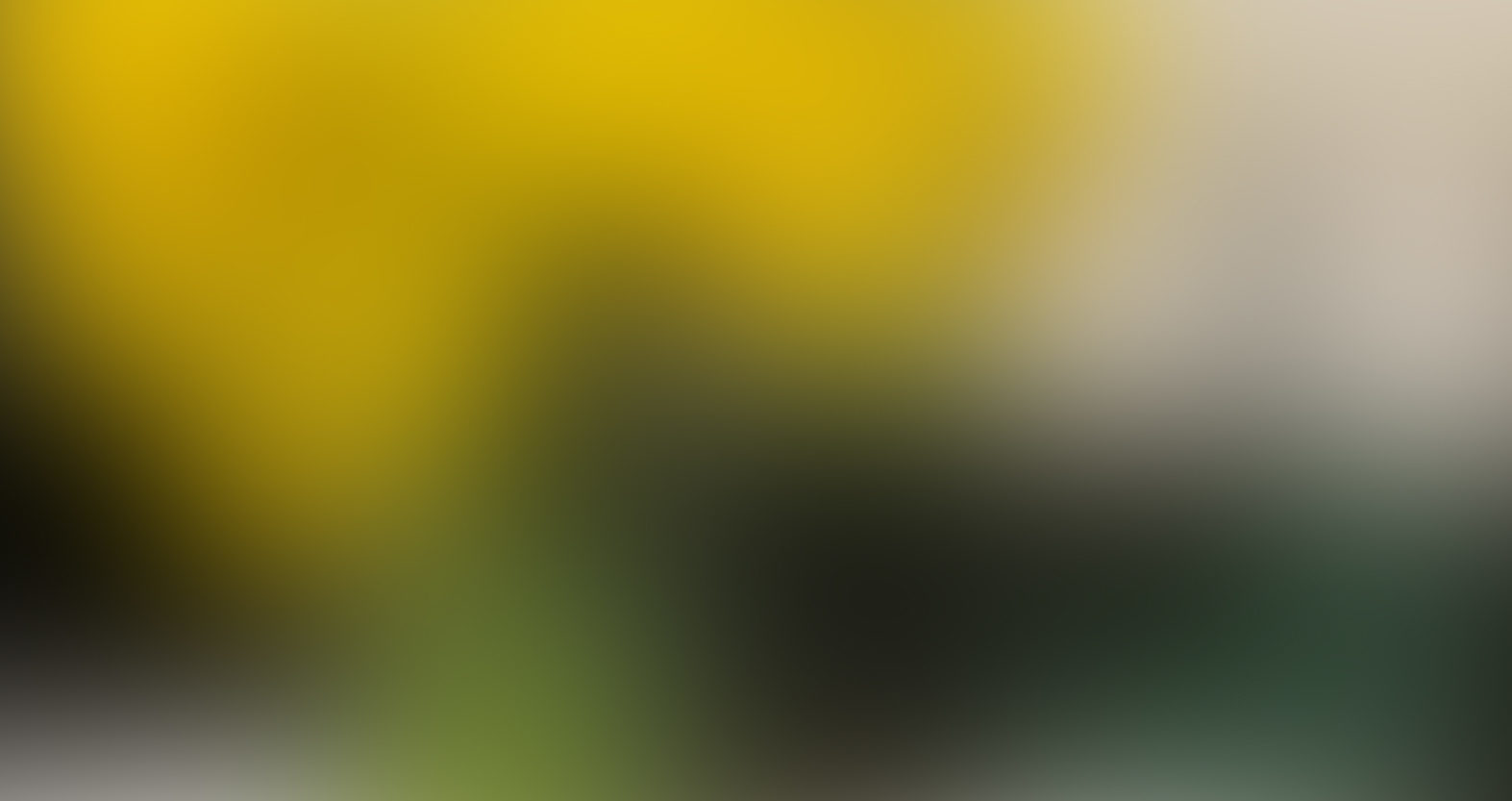 Dwell Here: One Year Studio Residency Open Call / 2026 - IMMA